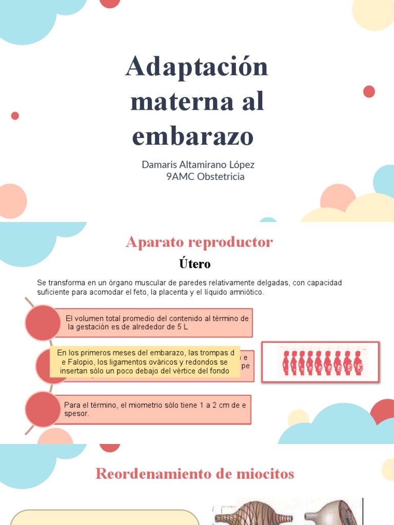 Adaptación Materna Al Embarazo | PDF | El embarazo | Ovario