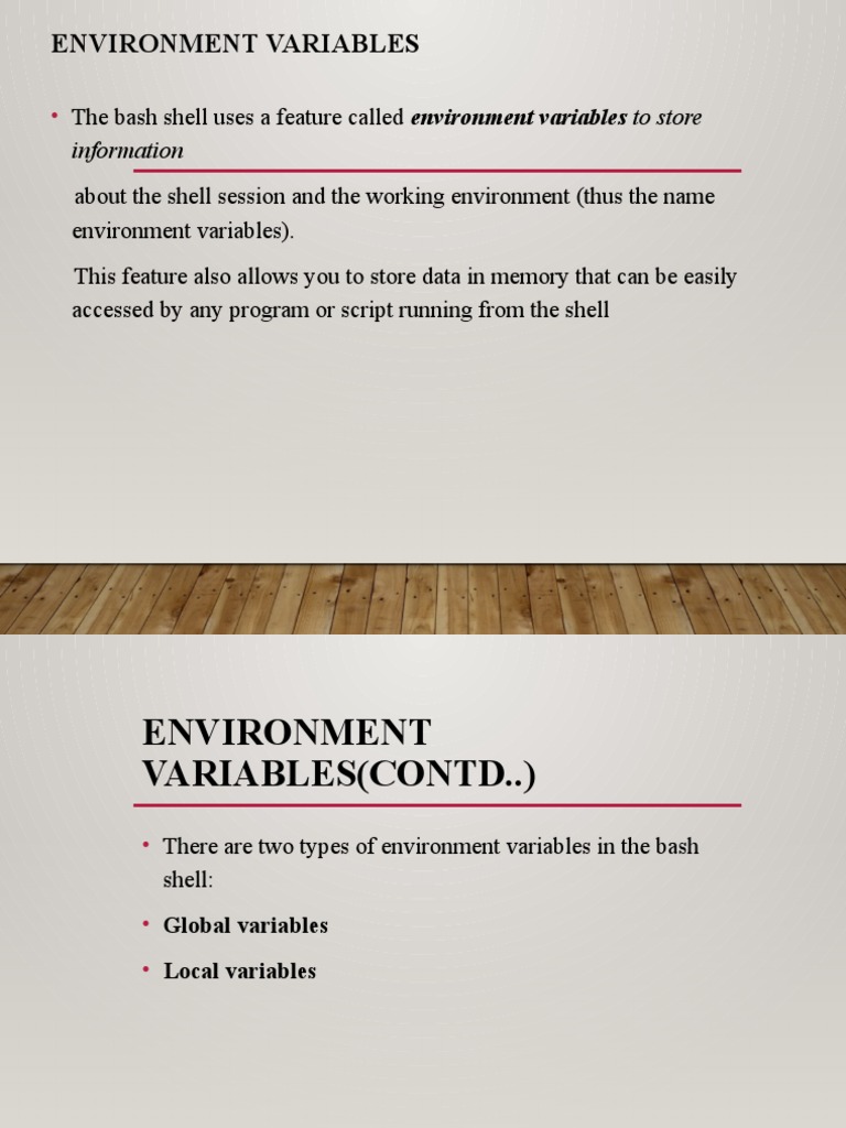 Environment Variable | PDF | Variable (Computer Science) | Software Engineering