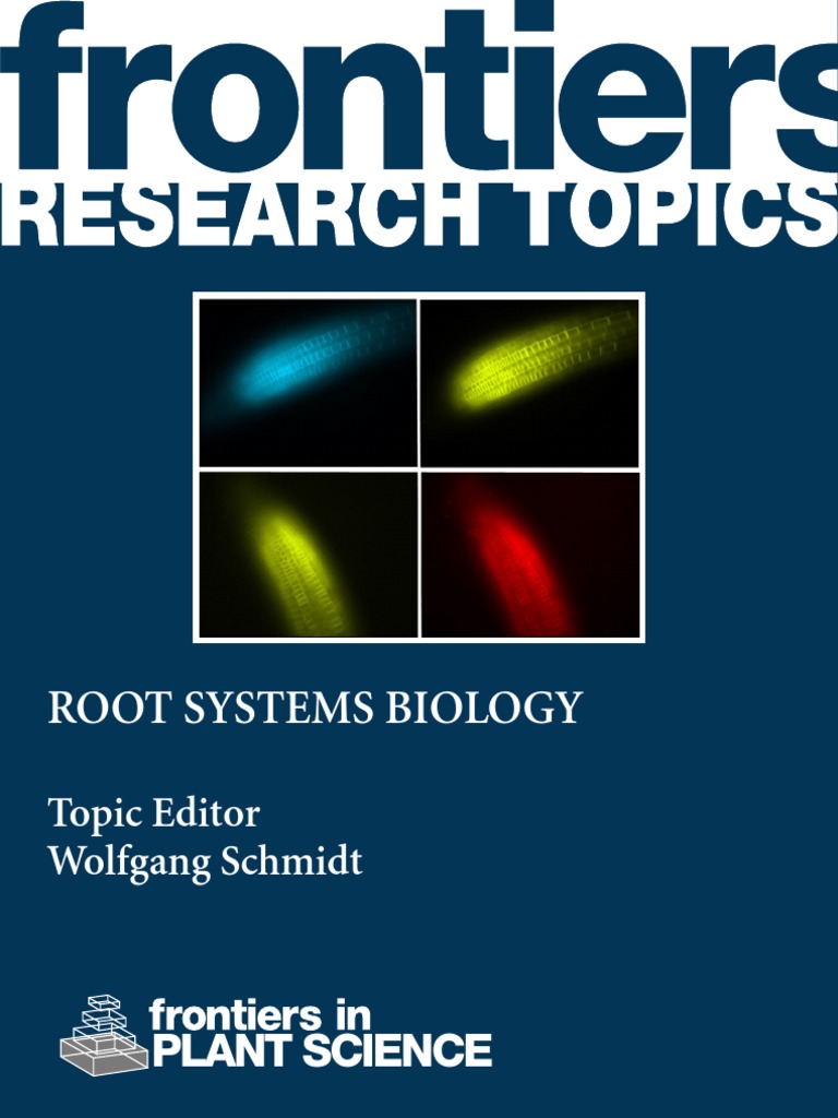 Root Systems Biology | PDF