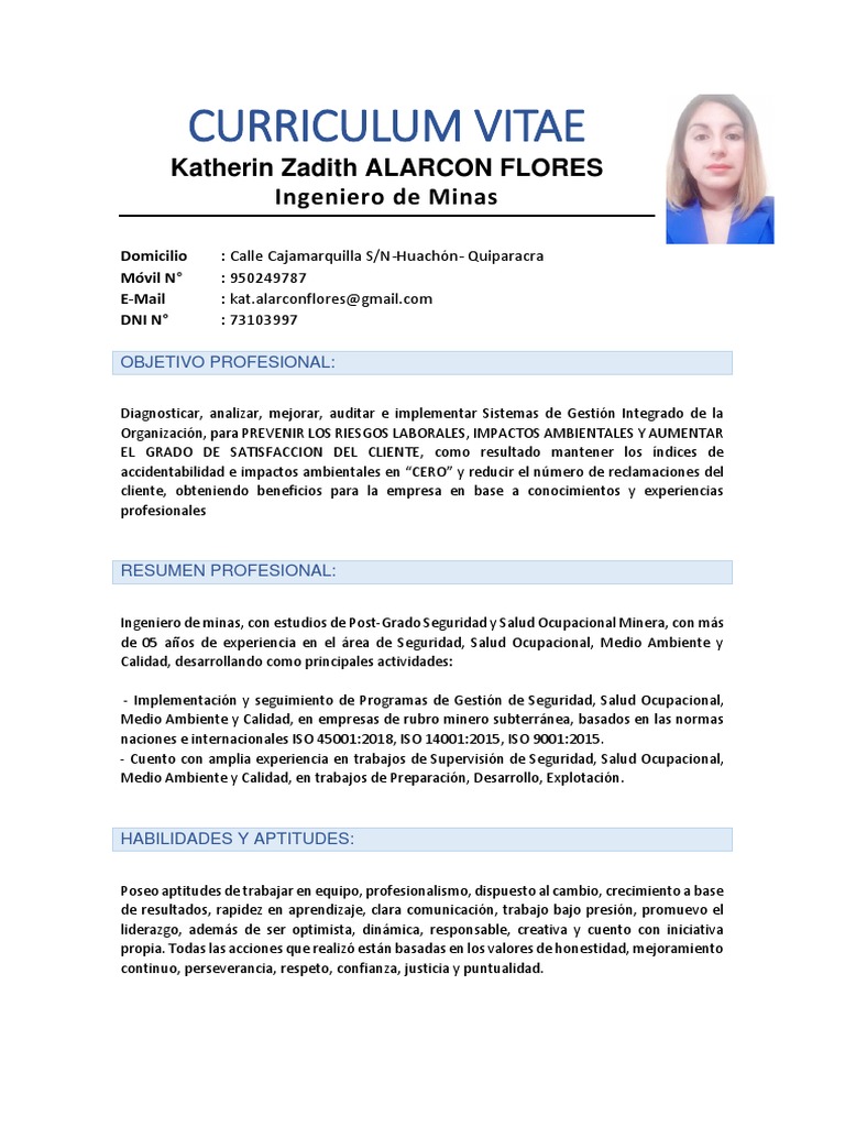 CURRICULUM VITAE - Alarcon 1 PDF | PDF | Seguridad y salud ocupacional | Business
