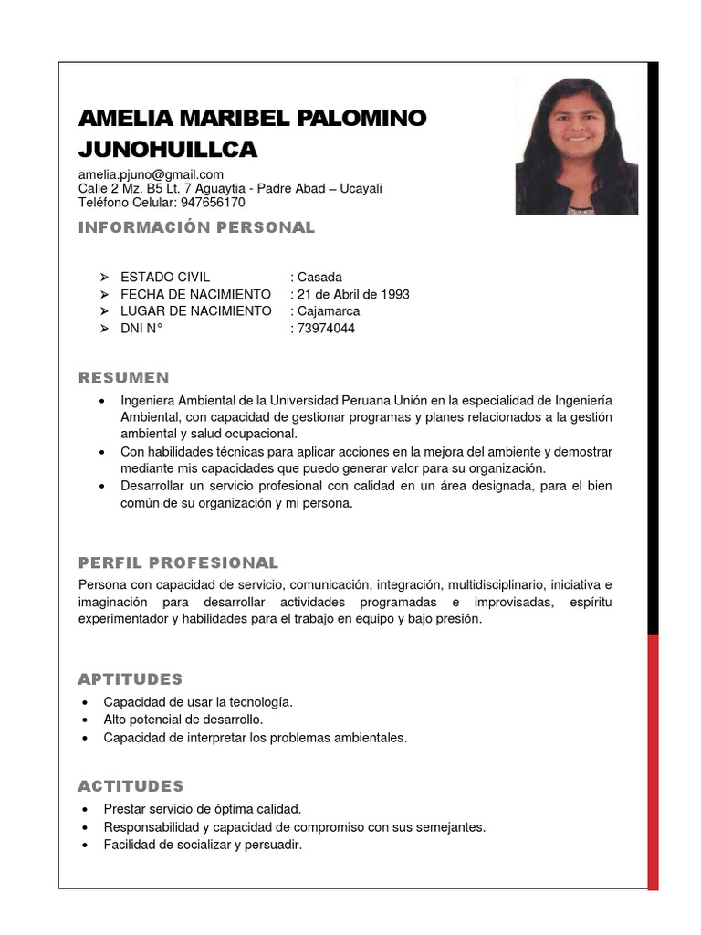 Cv-Amelia Palomino 2021 | PDF | Ingeniería | Perú
