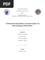 Observation of Mongo | PDF