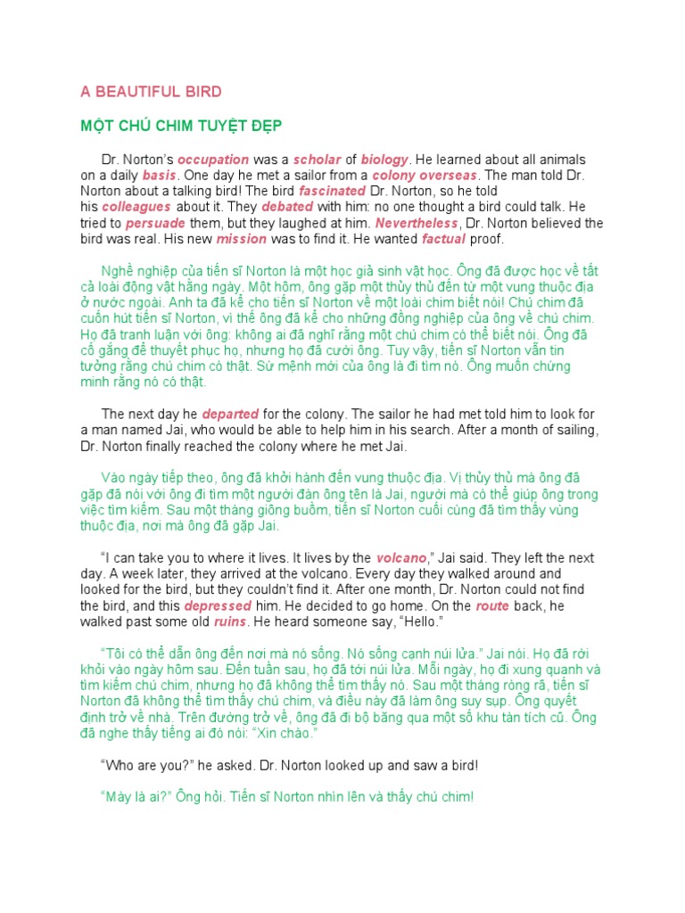 A Beautiful Bird | PDF