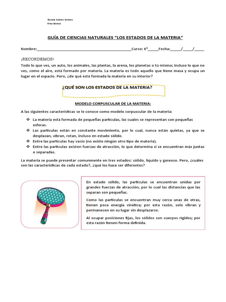 Guia Estados de La Materia | PDF | Gases | Importar
