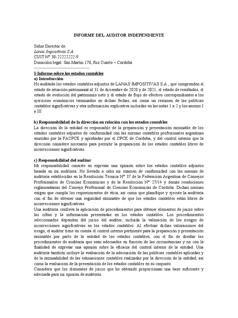 Informe Del Auditor | PDF