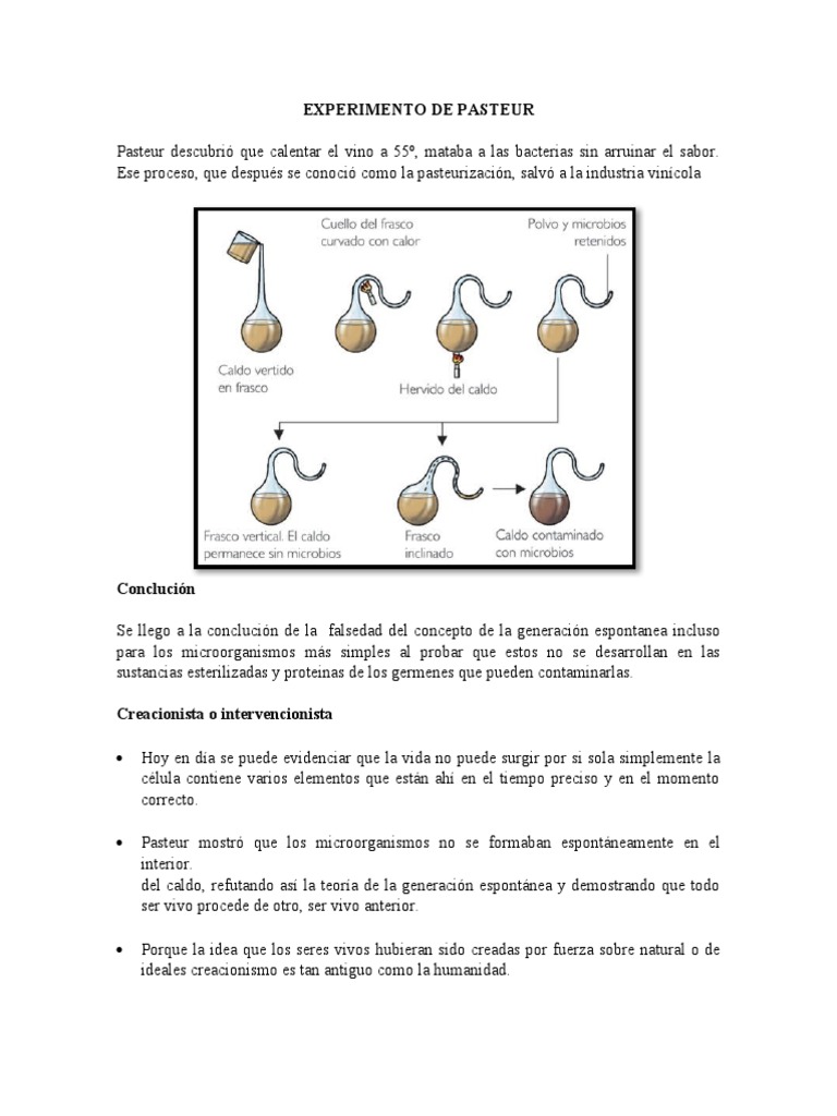 Experimento de Pasteur | PDF