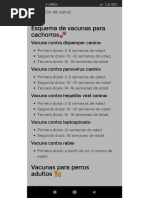 Pfizer Vanguard SP Final | PDF | Vacunas | Virus