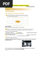 Irodalom Mf. 6.o. | PDF