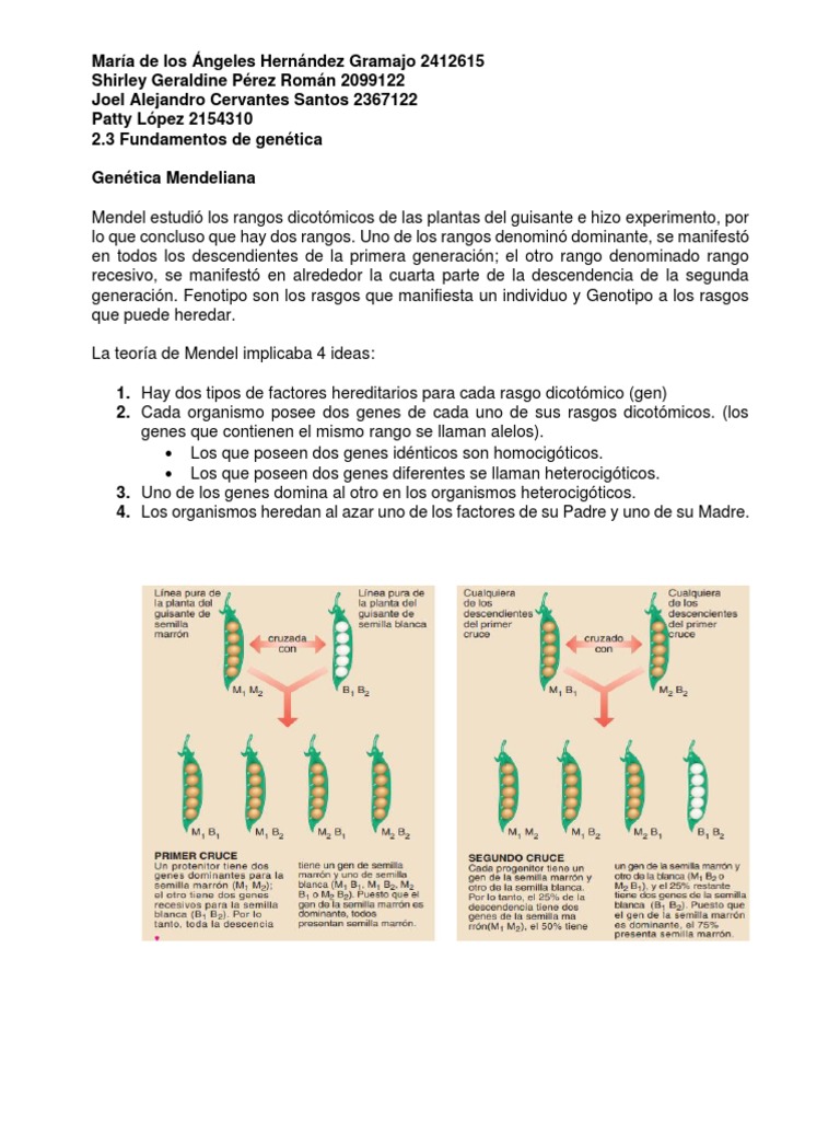 Resumen Cap 2 Biopsicología | PDF | Adn | Rna