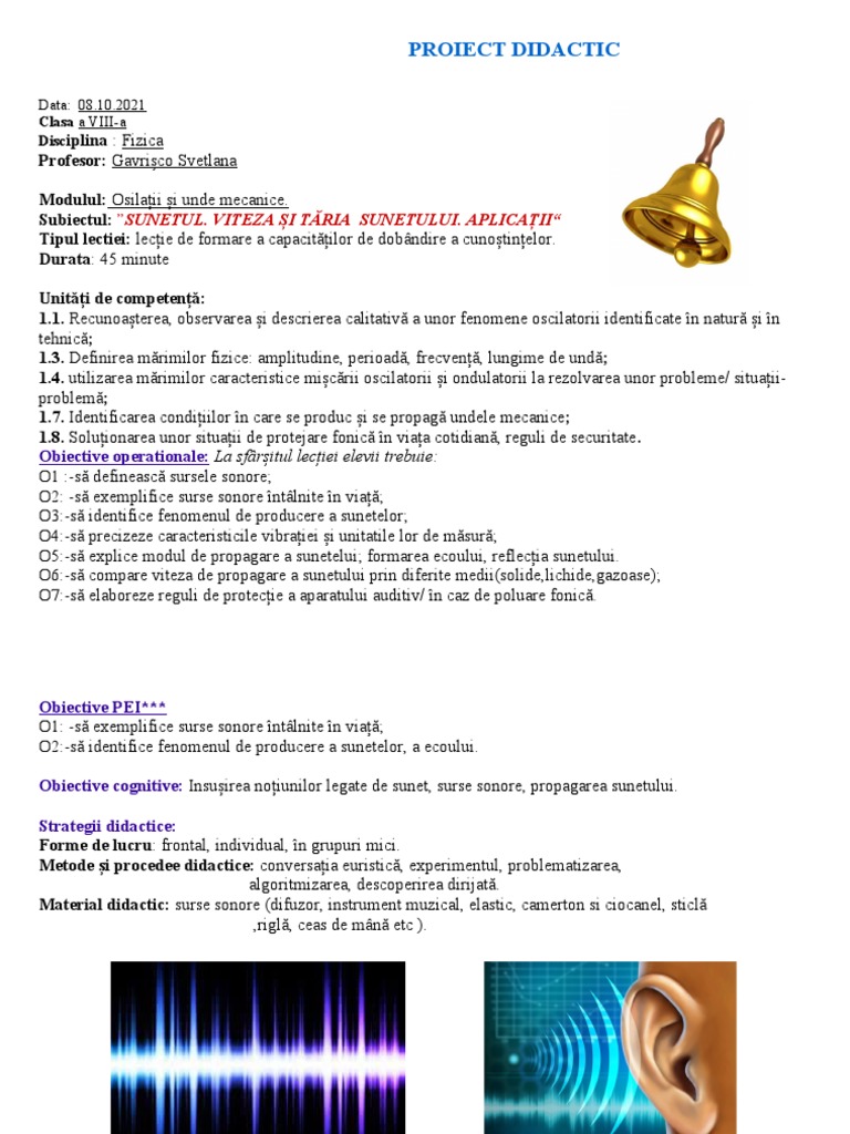 Proiectdid SUNETUL | PDF