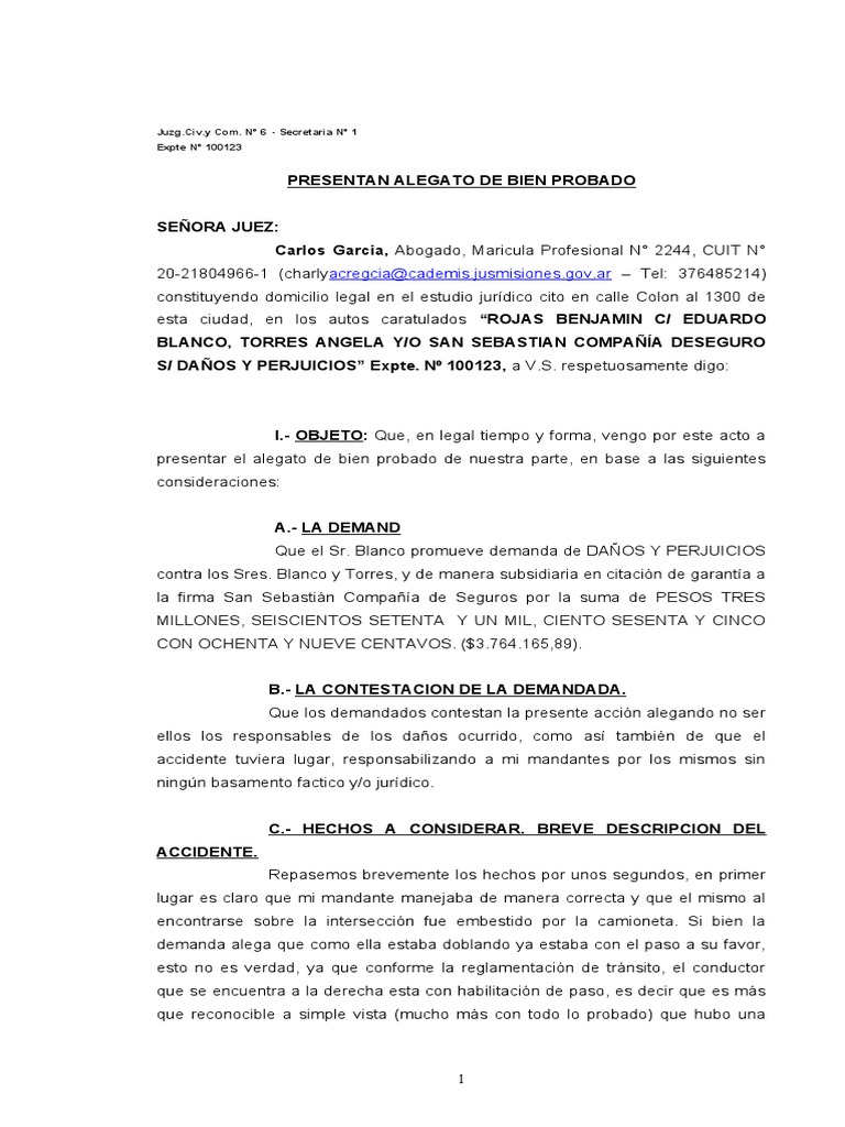 Alegato Parte Actora | PDF