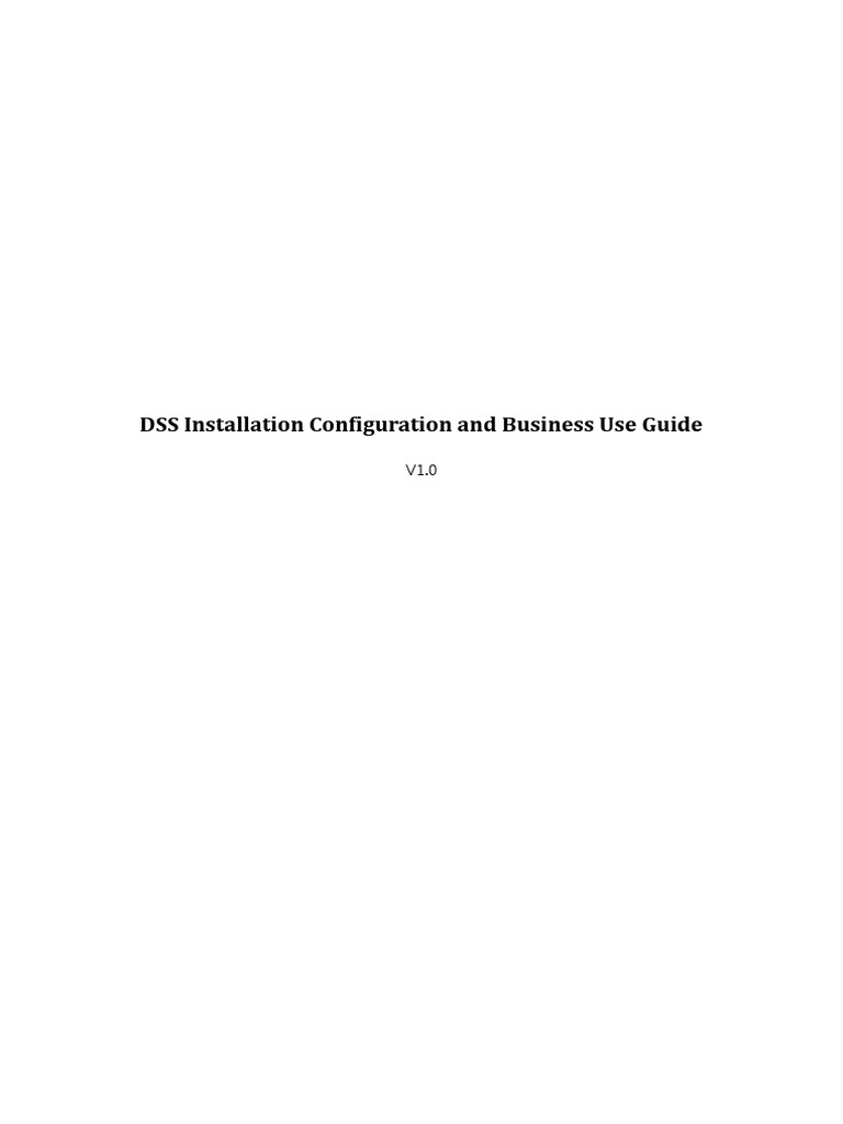 DSS Installation Configuration and Bussiness Use Guide V1.0 | PDF ...