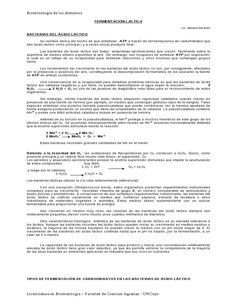 Fermentación Láctica | PDF | Ácido láctico | Fermentación