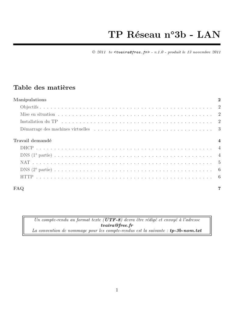 TP Reseaux 3 Lan | PDF | Système de noms de domaines | Mise en réseau