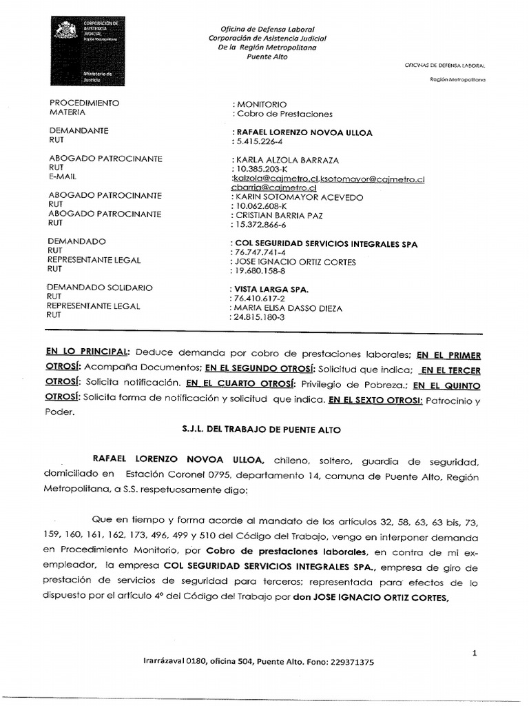 Modelo Dda Monitorio y Dda Subsidiario | PDF