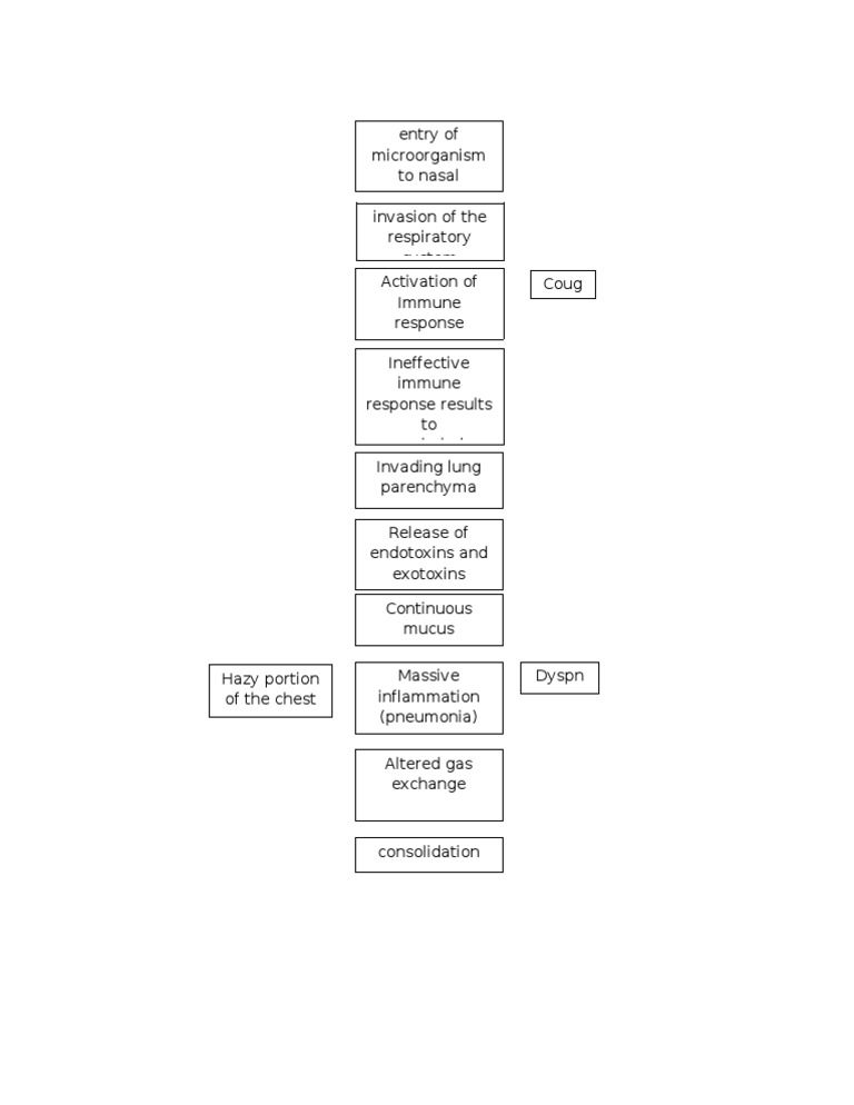 Pneumonia Pathophysiology Overview | PDF