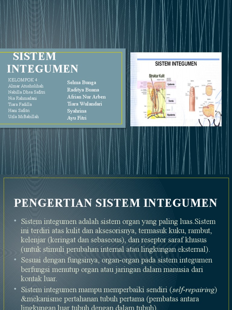Anatomi Fisiologi Sistem Integumen | PDF
