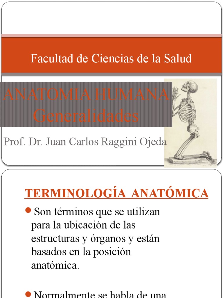 Anatomia Humana. Terminología Básica | PDF | Términos anatómicos de ...