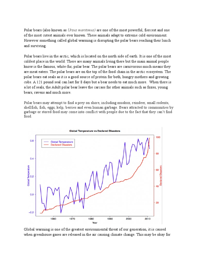 Polar Bears Report | Download Free PDF | Polar Bear | Bears