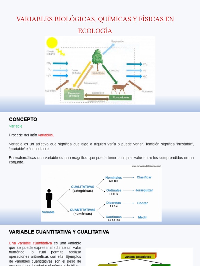 Variables Biológicas, Químicas Y Físicas en Ecología | PDF | Variable ...
