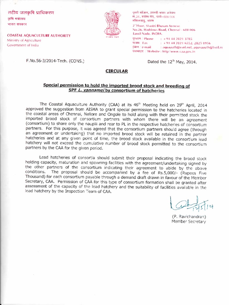 Cons Cir Letter | PDF