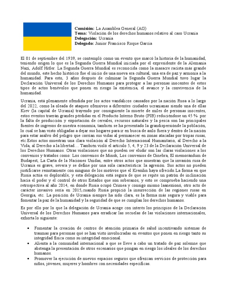 Papel de Posicion de La Delegacion de Ucrania | PDF