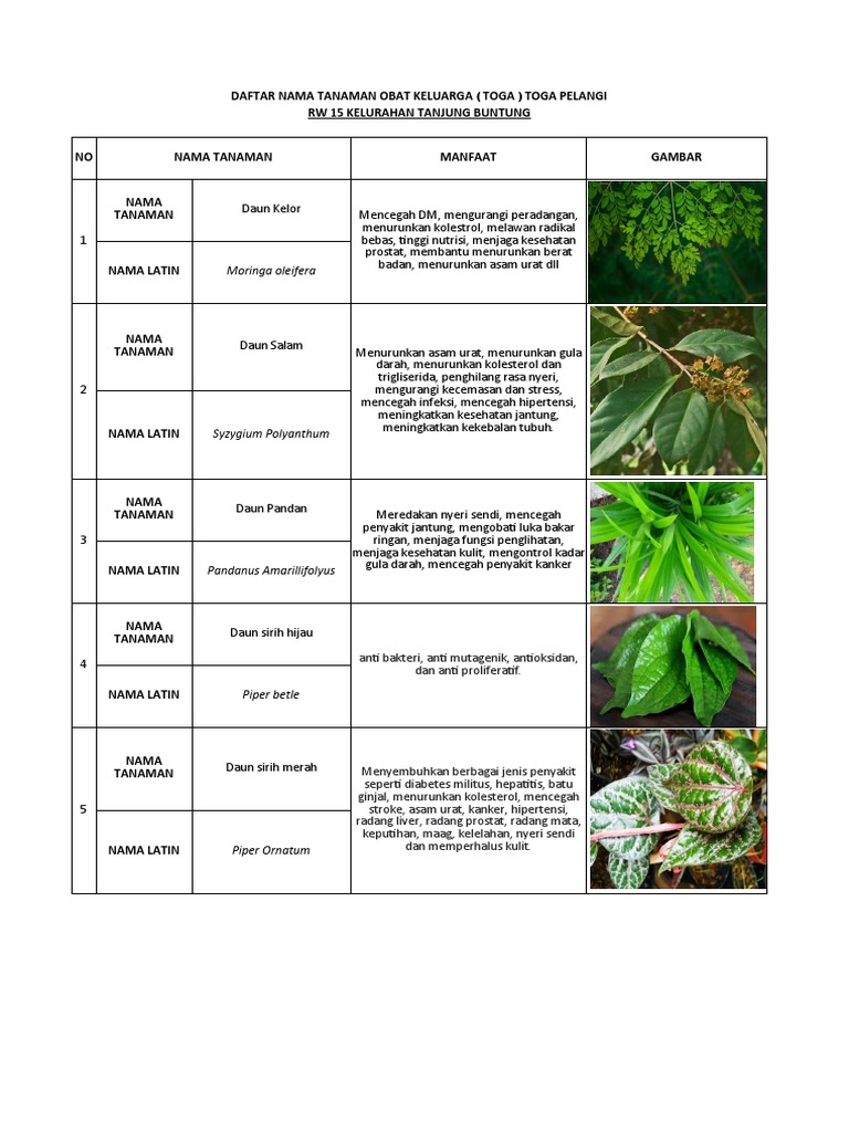 Daftar Nama Toga RW 15 | PDF