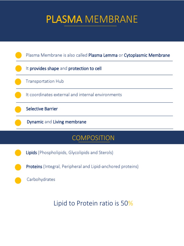 Plasma Membrane | PDF