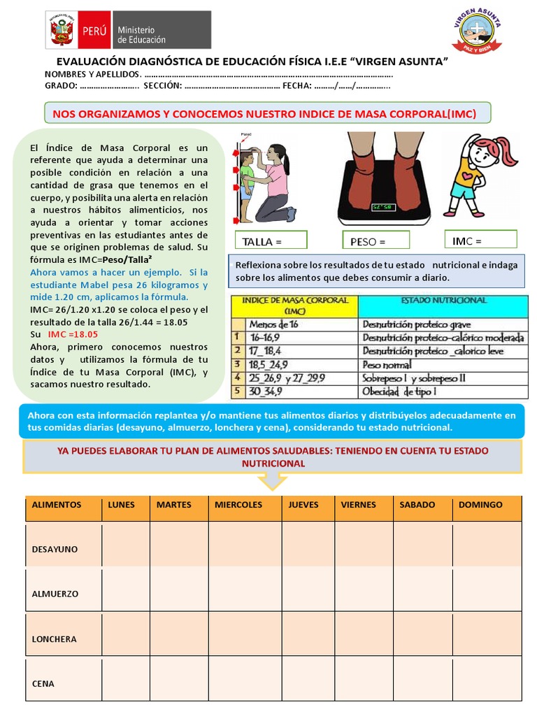 EVALUACIÓN DIAGNÓSTICA DE EDUCACIÓN FÍSICA 5° y 6° | PDF
