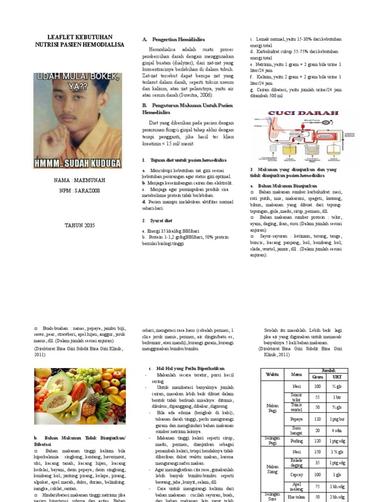 Nutrisi HD Okee | PDF