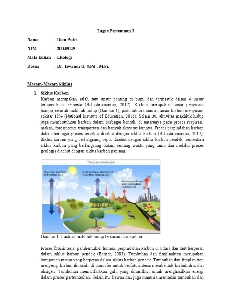 Tugas Pertemuan 3 Ekologi | PDF | Sains & Matematika