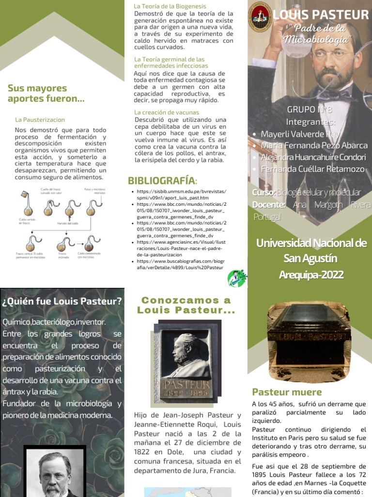 Louis Pasteur | PDF | Luis Pasteur | Ciencias de la Salud