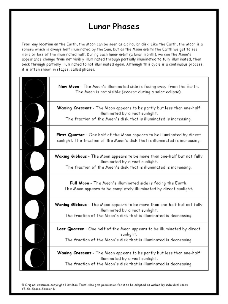 Handout - The Phases of The Moon | PDF | Moon | Astronomical Objects