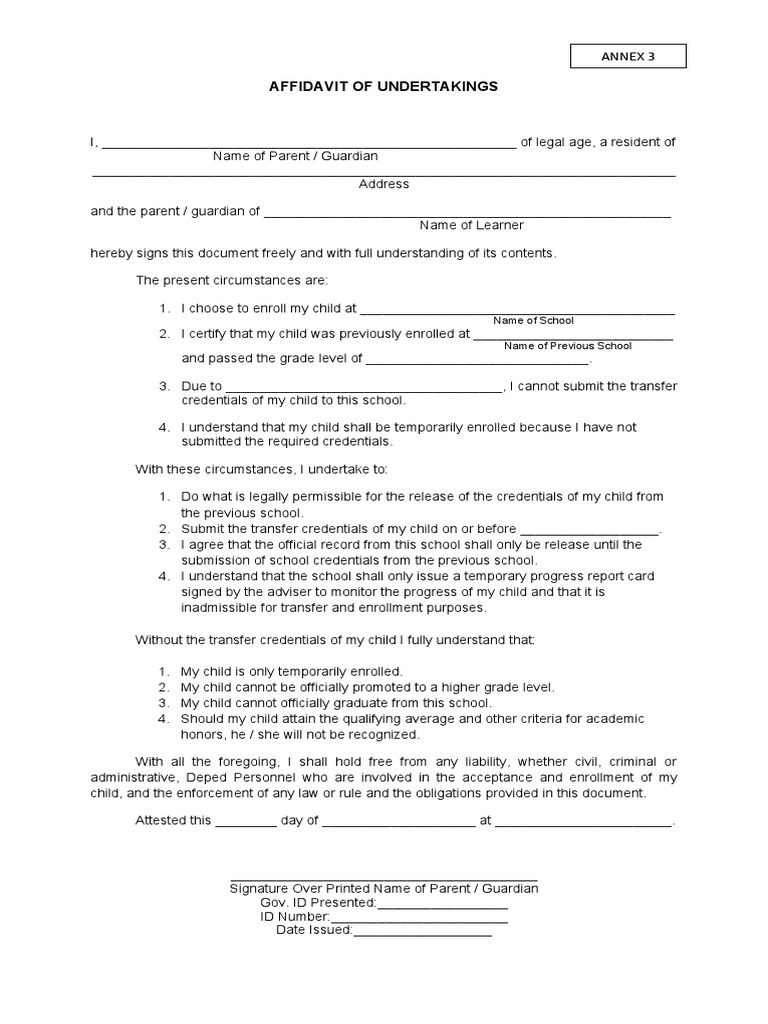 Do 3 s2018 Annex 3 Affidavit of Undertakings | PDF