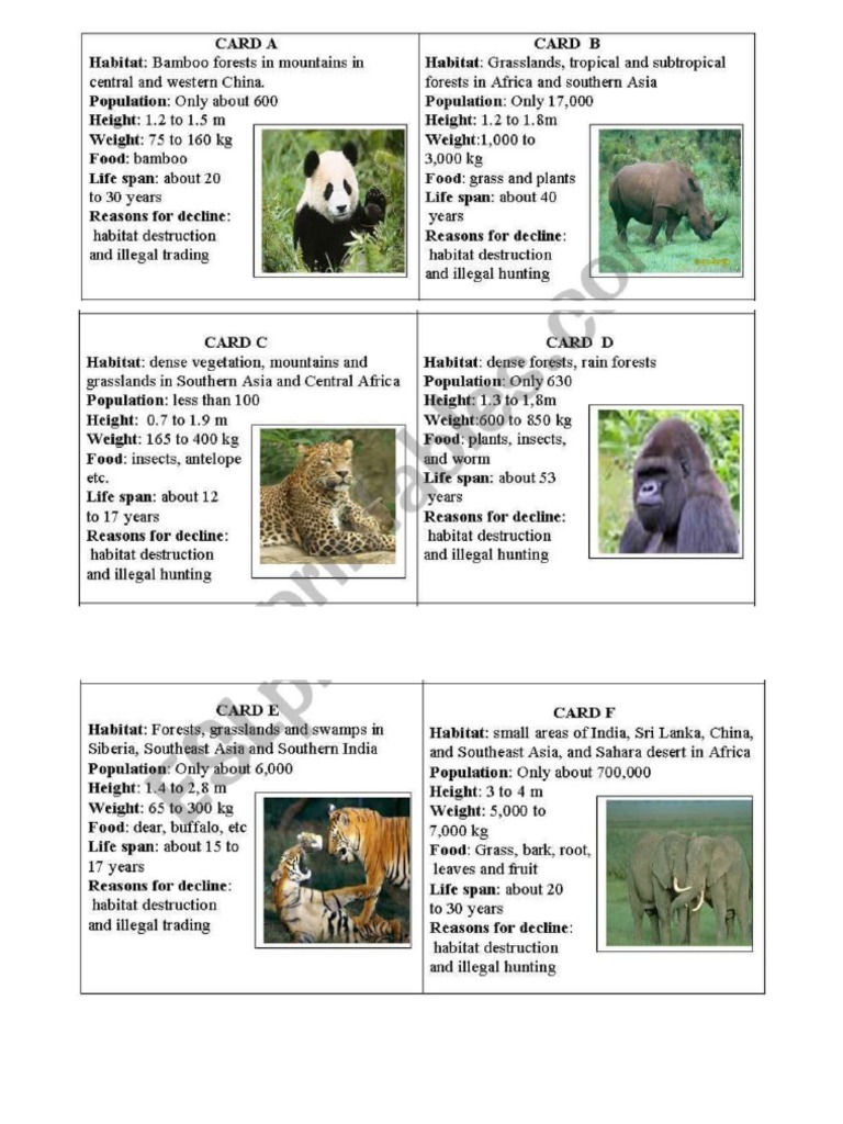 Speaking Cards | PDF