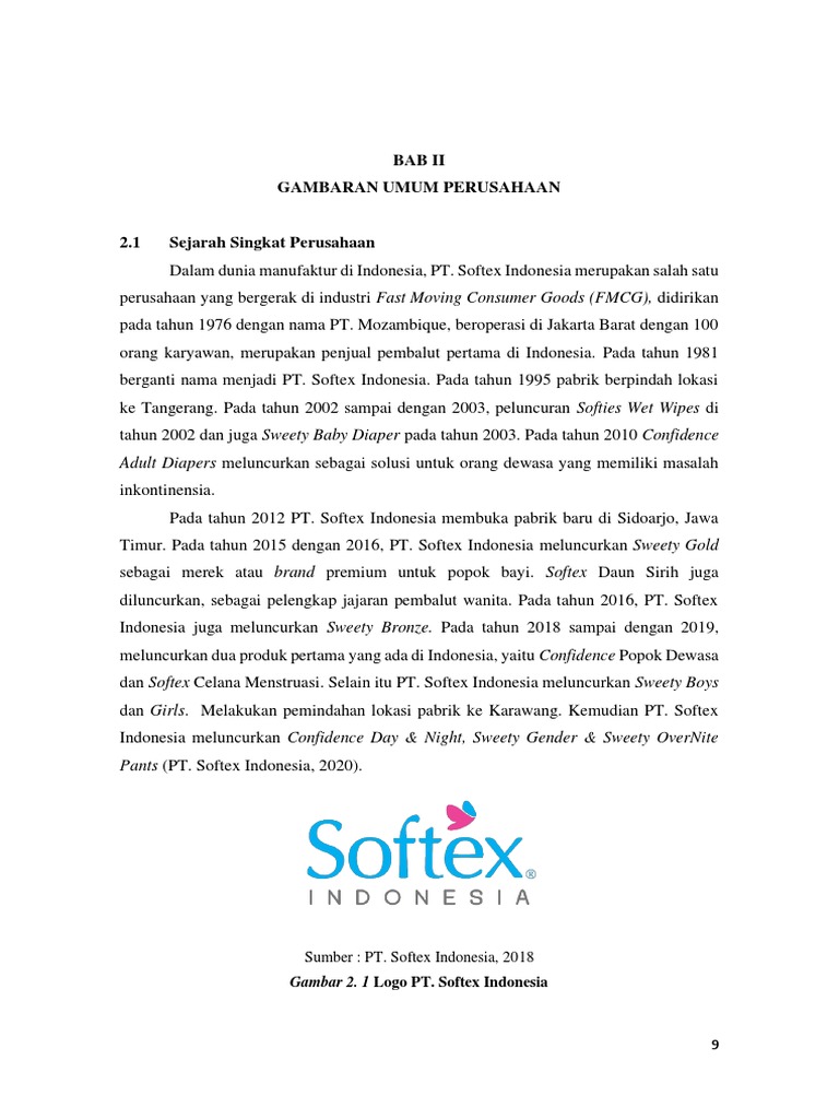 BAB - II Softex Indoensia | PDF | Karier & Perkembangan | Bisnis