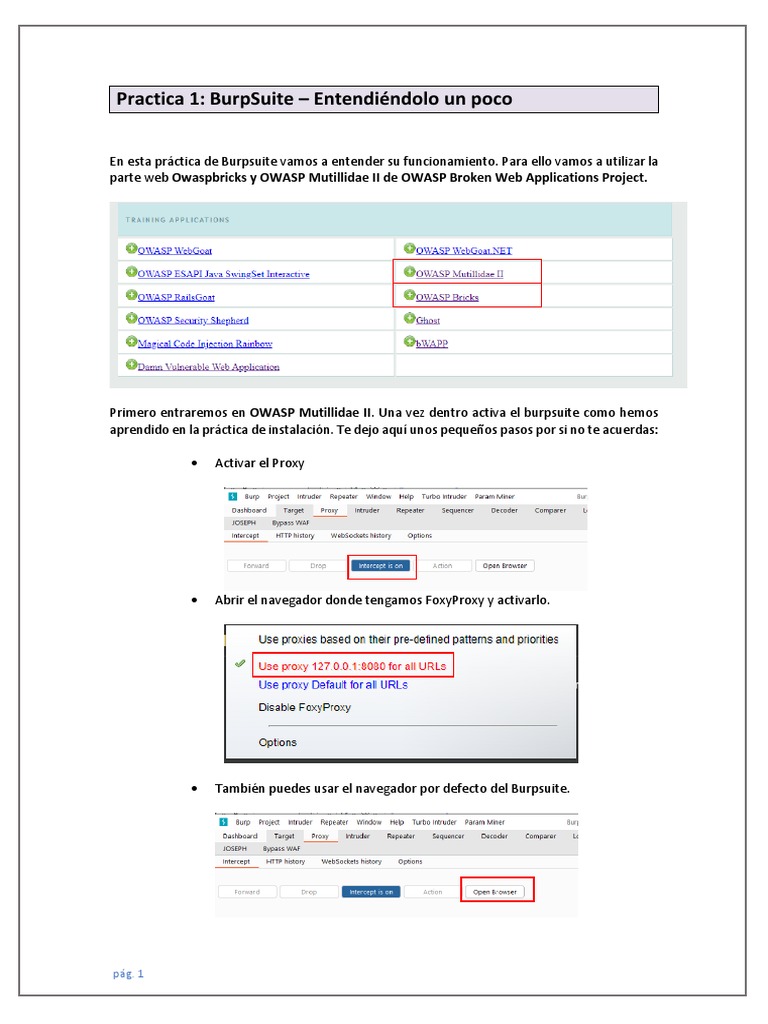 Practicando Con Burpsuite | PDF | Cookie HTTP | Redes
