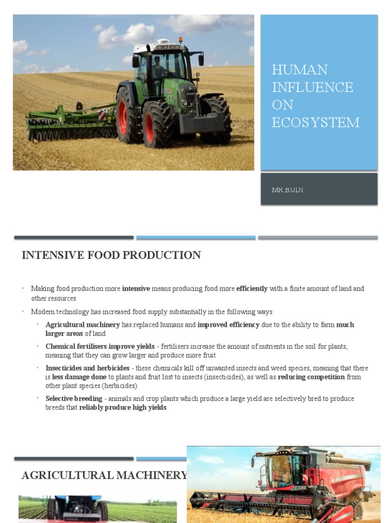 Human Activity | PDF