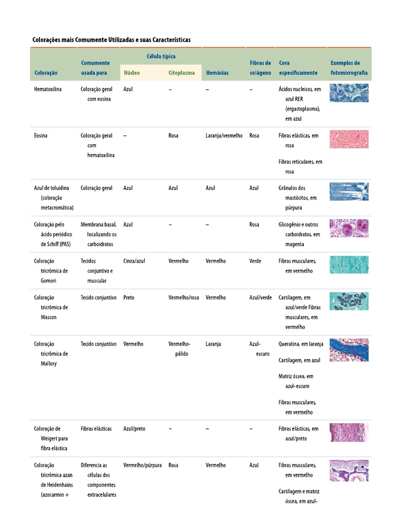 Tabela Corantes Histologia Ross - 220330 - 105404 | PDF | Coloração ...