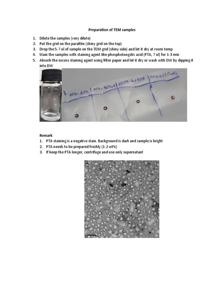 Preparation of TEM Samples | PDF