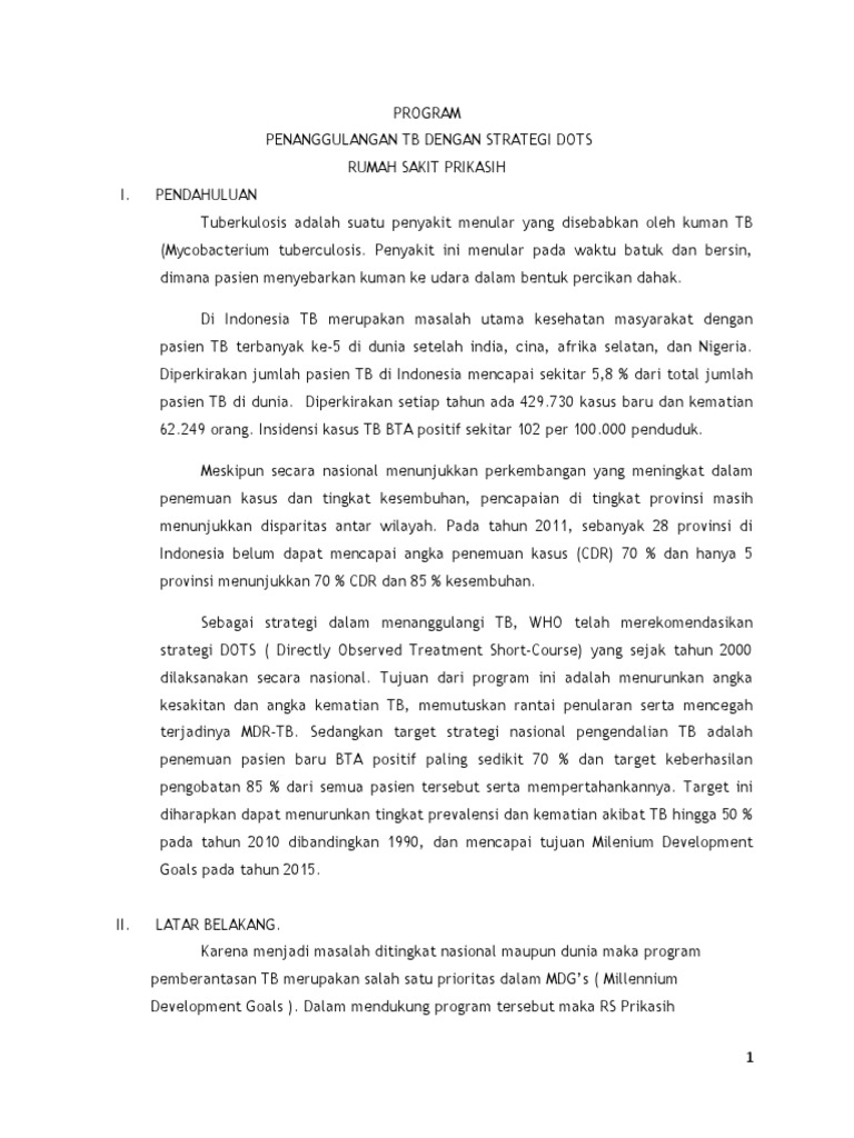 Program Kerja TB Dots 2017 | PDF