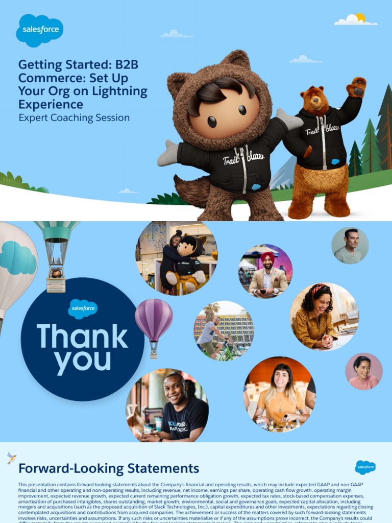 EN-CT-EXT-Getting Started - B2B Commerce - Set Up Your Org On Lightning Experience | PDF | Risk ...