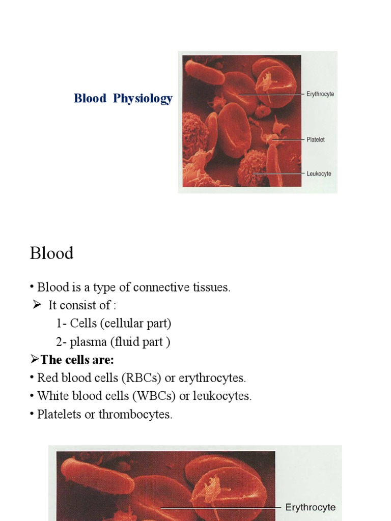 Hematology 1 | PDF | Blood | Blood Cell