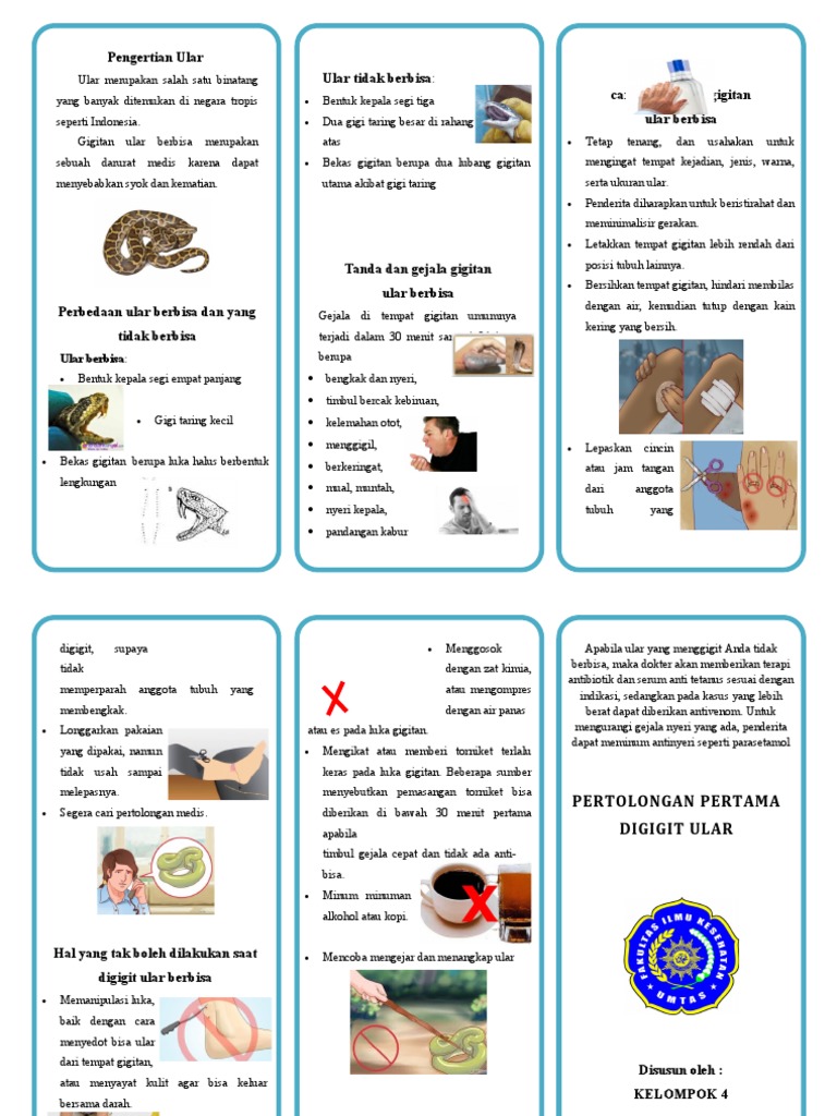 Leaflet Pertolongan Pertama Digigit Ular | PDF