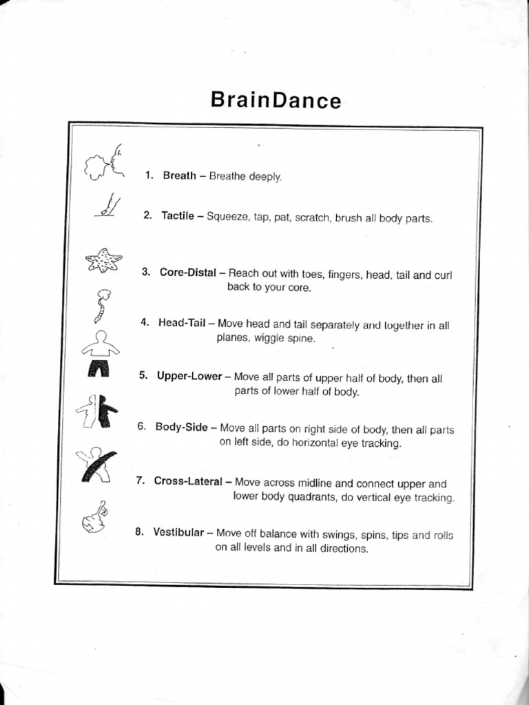 Brain Dance Handout | Download Free PDF | Anatomy | Limbs (Anatomy)