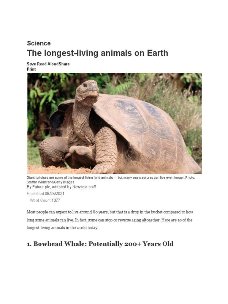 The Longest-Living Animals On Earth | PDF | Coral | Whales