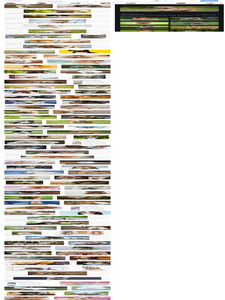 Cute Pics of Dogs - Google Search | PDF | Dogs | Domesticated Animals