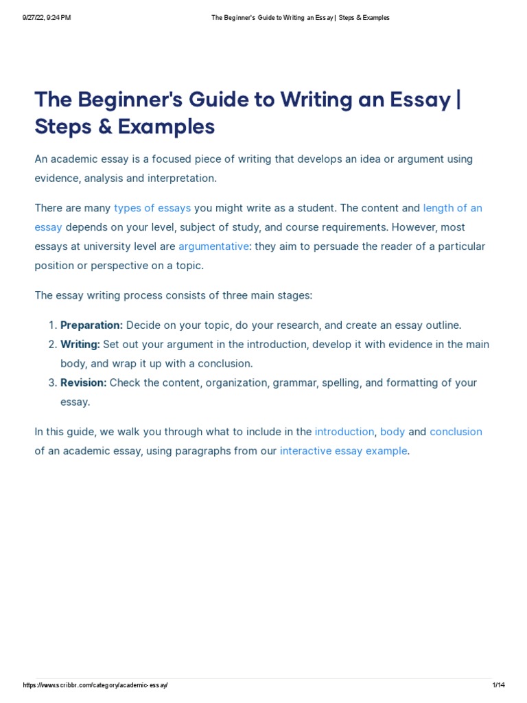 Beginner's Essay Writing Guide | PDF | Essays | Visual Impairment
