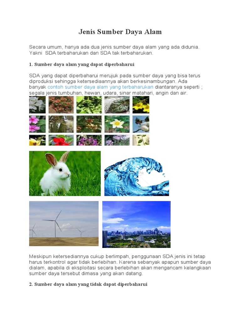 Jenis-jenis Sumber Daya Alam | PDF