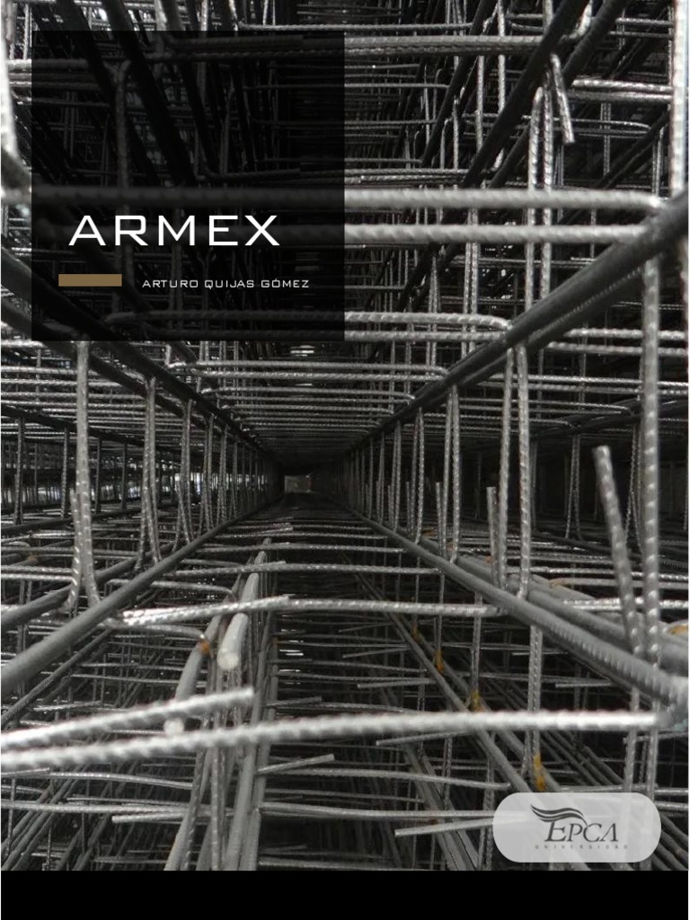 ARMEX | PDF | Informática | Tecnología